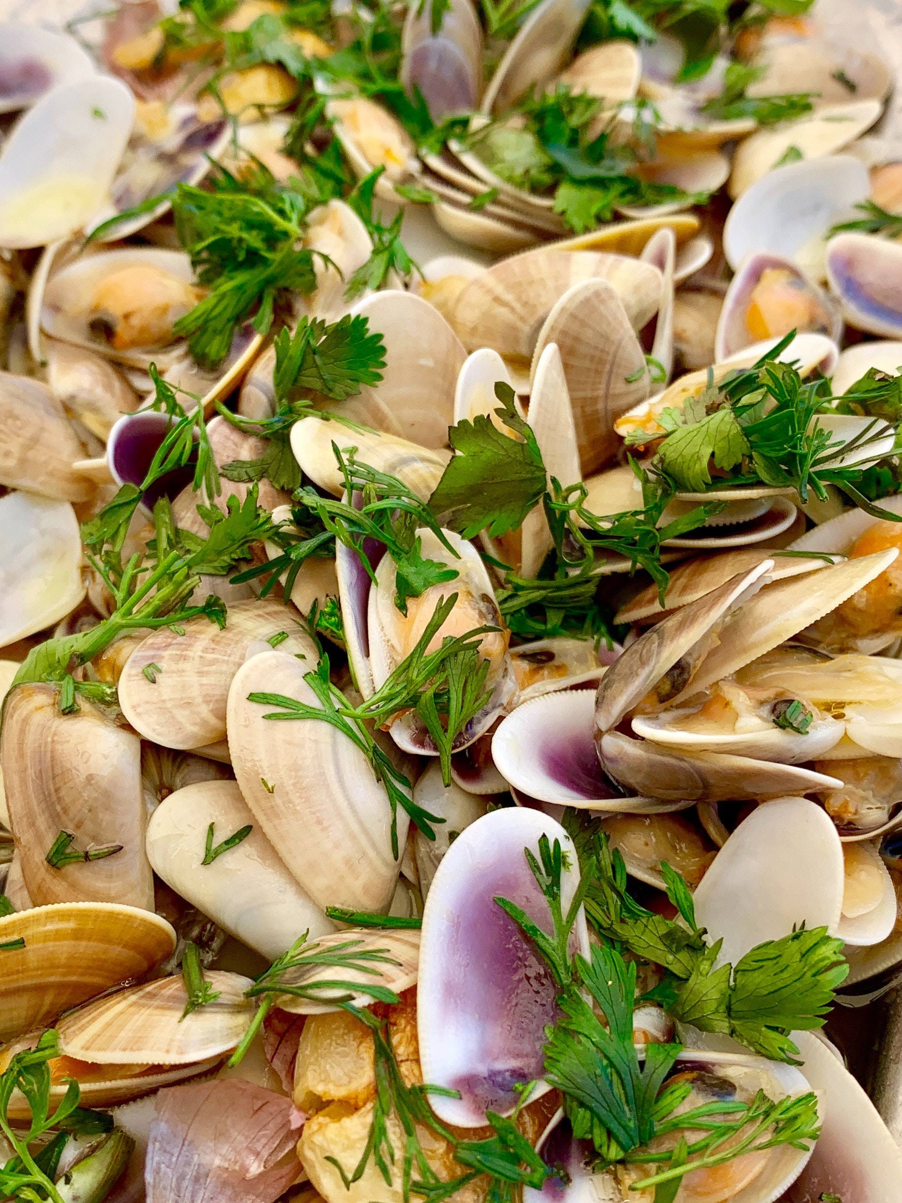 Receita de Conquilhas