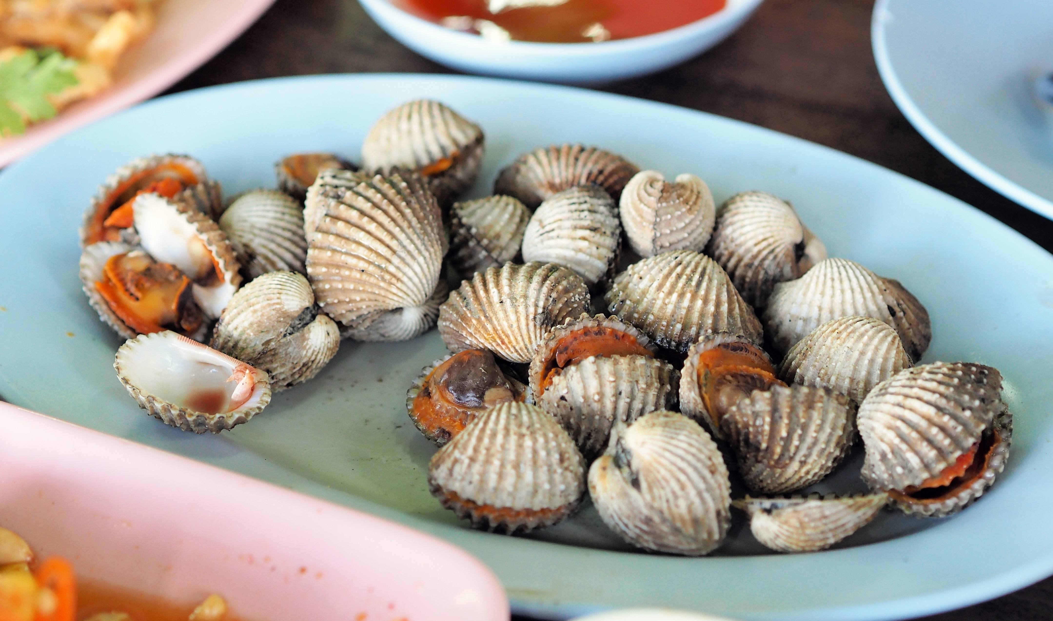 Receita de berbigão